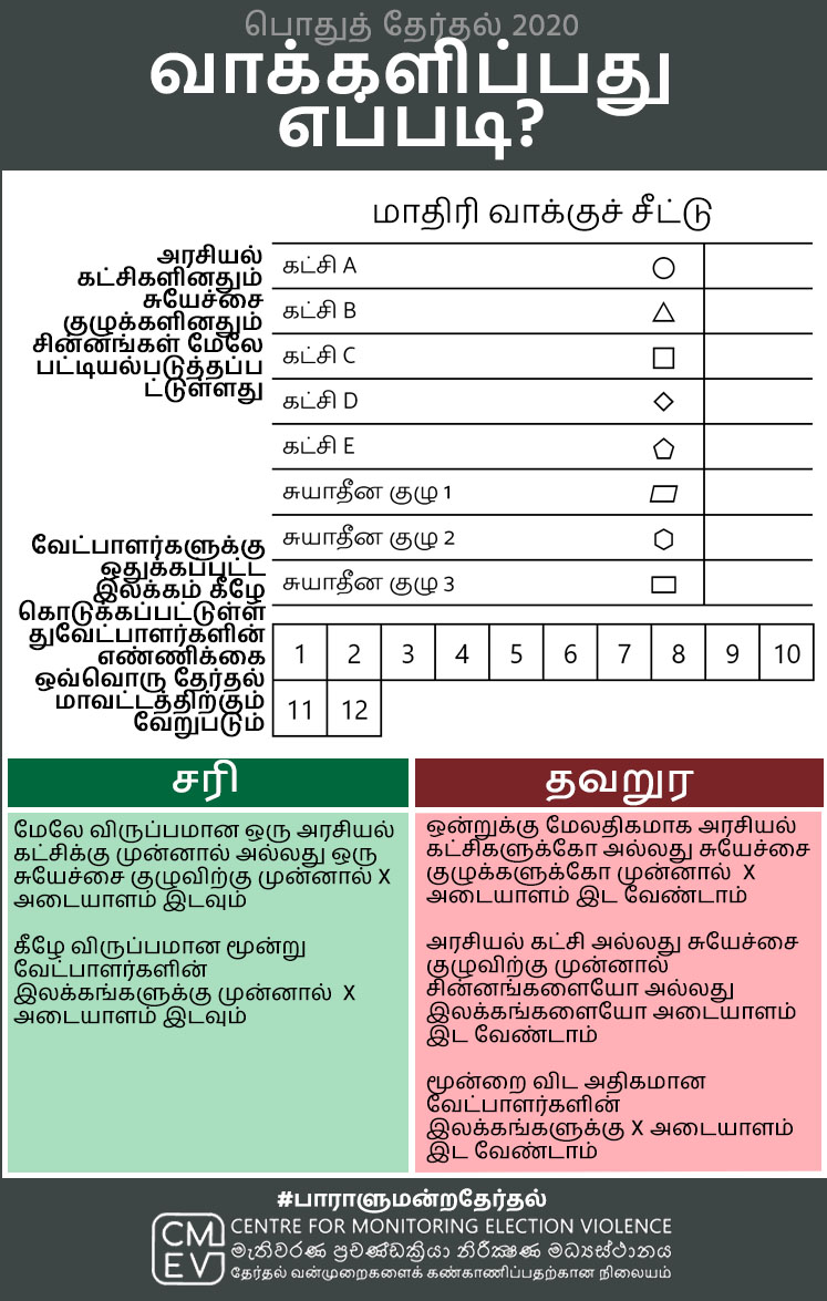 How to Vote Infographics